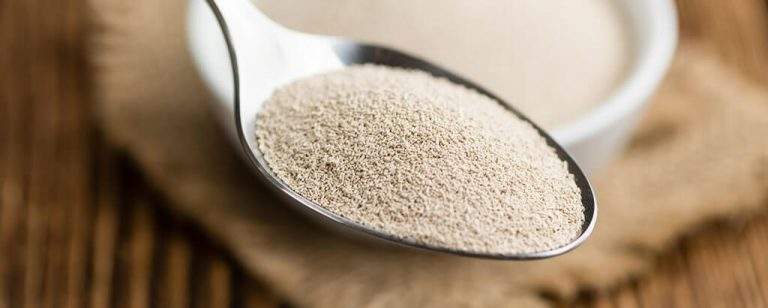 Types Of Yeast: How To Pick The Best One For Baking?