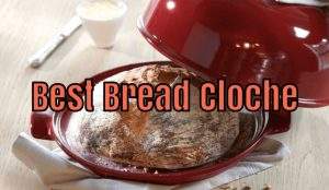 7 Best Bread Cloches You Can Buy Right Now